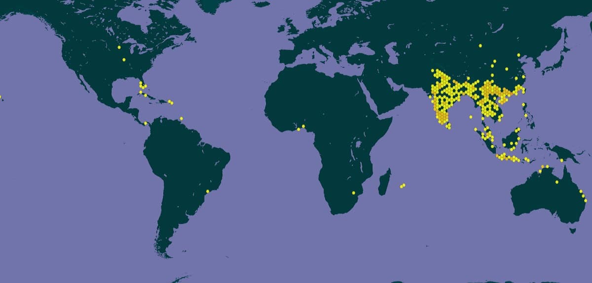 Indian Gooseberry: 10 Amazing Facts About This Wonder Fruit